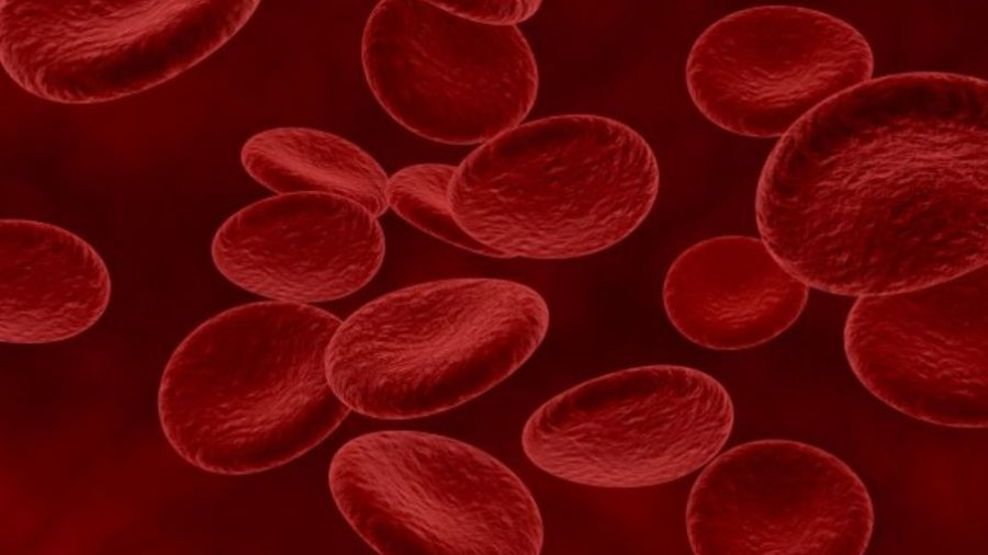 Un estudio determina la asociación entre la variabilidad en glóbulos ...